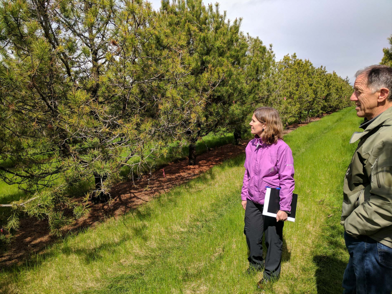 Select Seed Co. - Select Tree & Orchard Seeds to Enhance BC's Forests