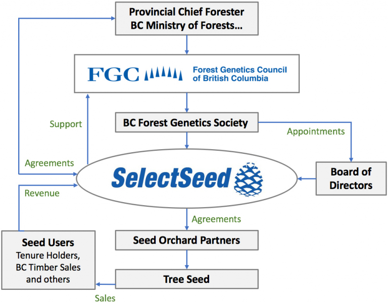Select Seed Co. - Select Tree & Orchard Seeds to Enhance BC's Forests